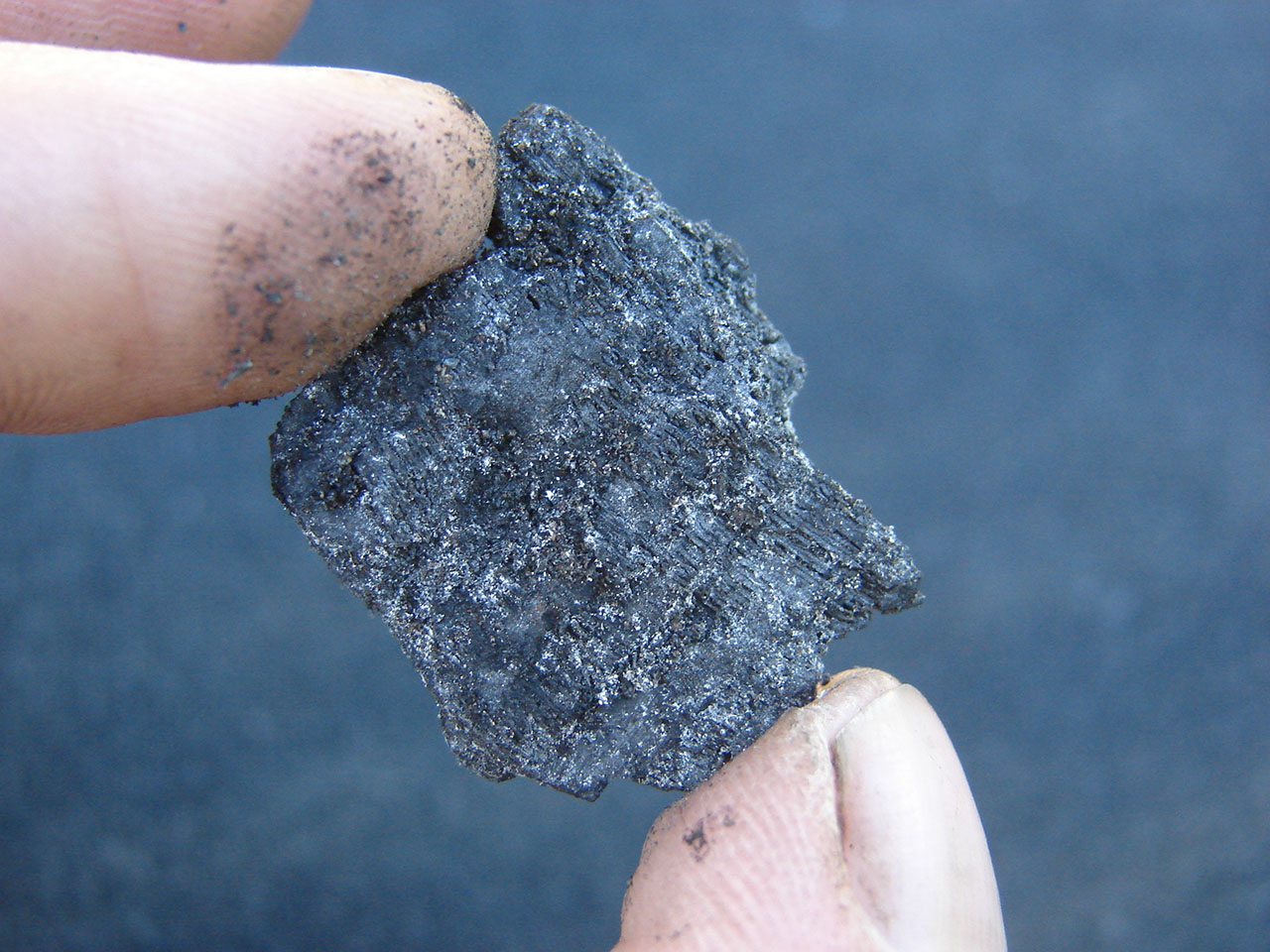 Pacific Biochar's Biological Activation Process to Improve Biochar ...