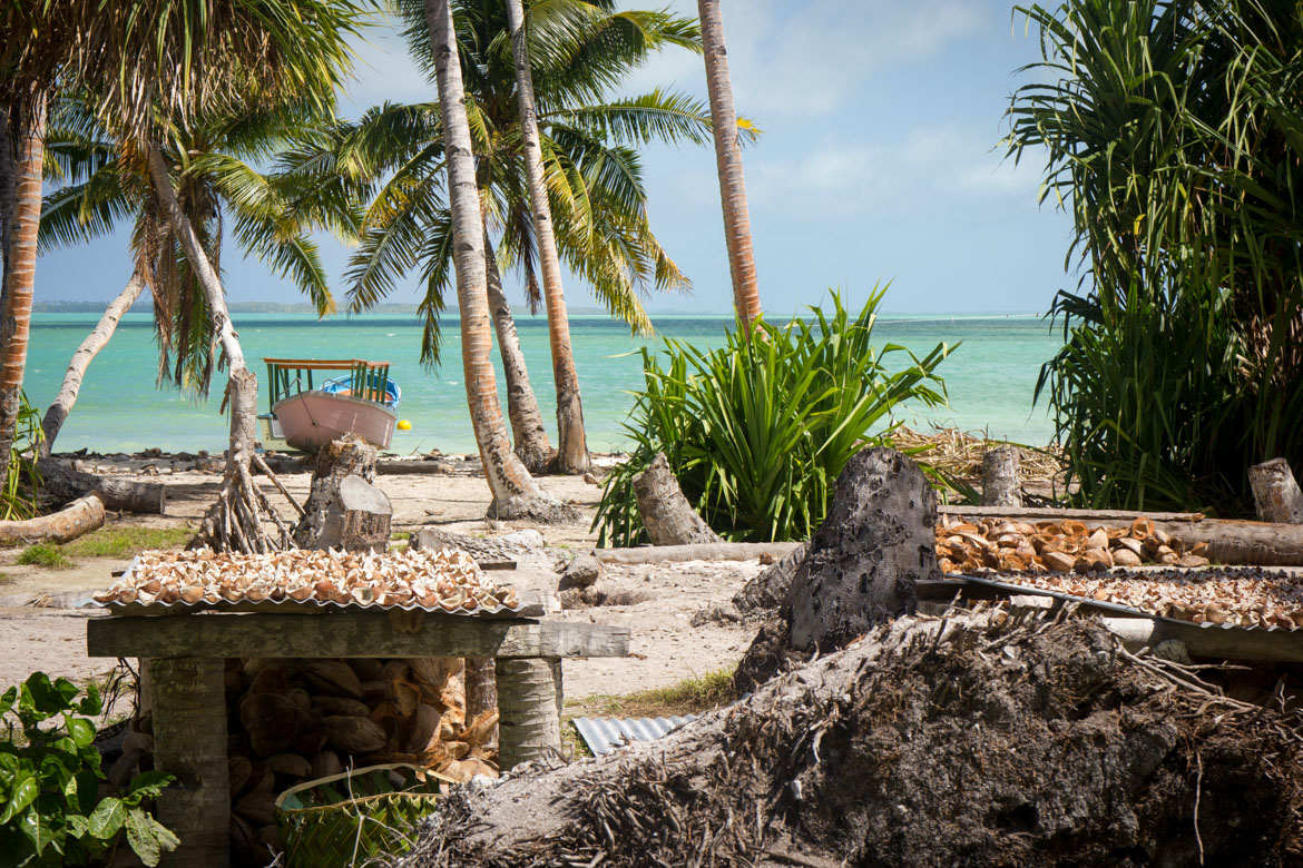Atoll Growing; biochar from coconut husks for better toilets and bigger ...