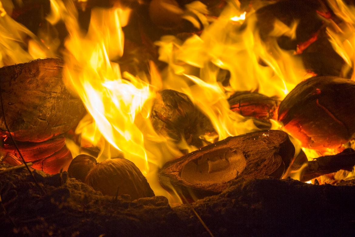 Atoll Growing; biochar from coconut husks for better toilets and bigger ...