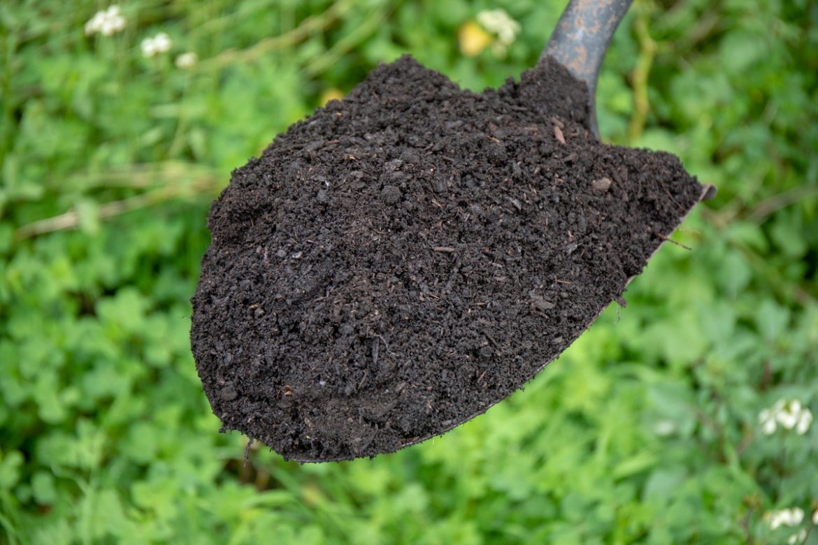 Resources - Pacific Biochar Benefit Corporation