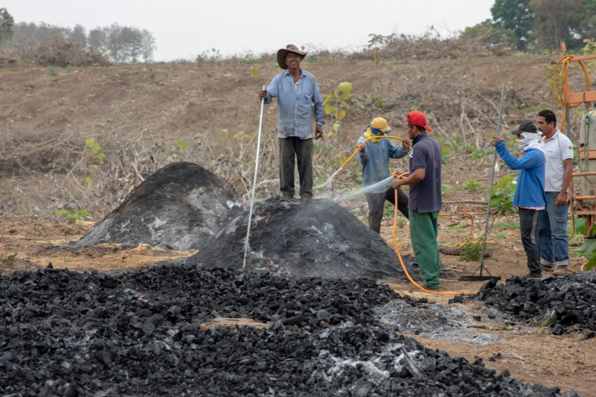 Smoldered pile vs. open pit biochar production, a showdown in Ecuador ...