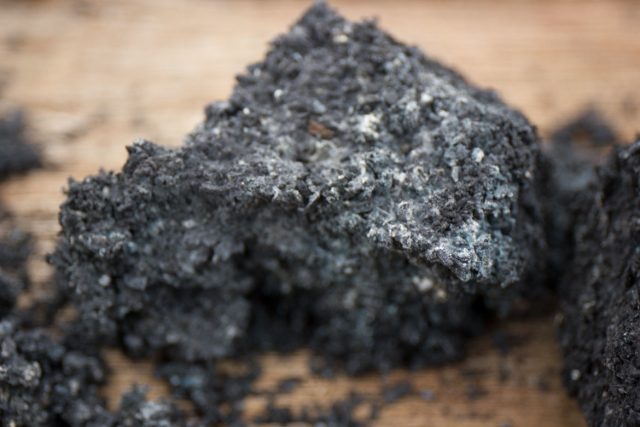 Rock Dust and Biochar to Remineralize Soils. - Pacific Biochar Benefit ...