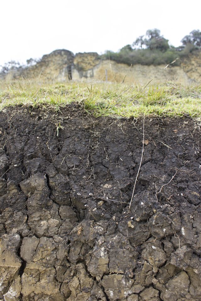 Finding Biochar and Terra Preta in the Peruvian Andes - Pacific Biochar ...