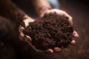 Biochar in Composting | Pacific Biochar