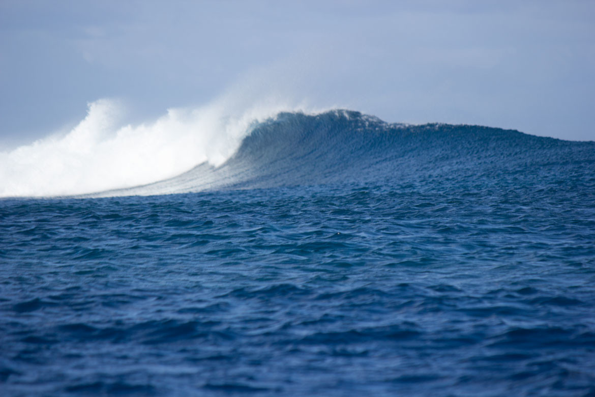 About Us | Pacific Biochar Benefit Corporation