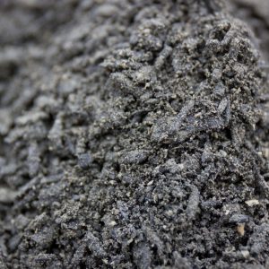 Pacific Biochar